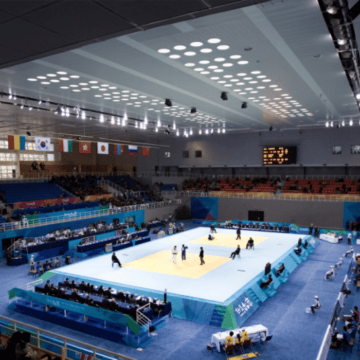 Solatube International Daylighting Systems - Tubular Systems